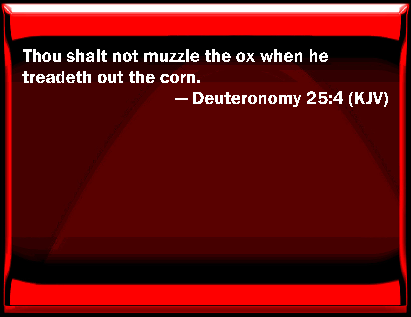 Deuteronomy 25 4 You Shall Not Muzzle The Ox When He Treads Out The Corn 