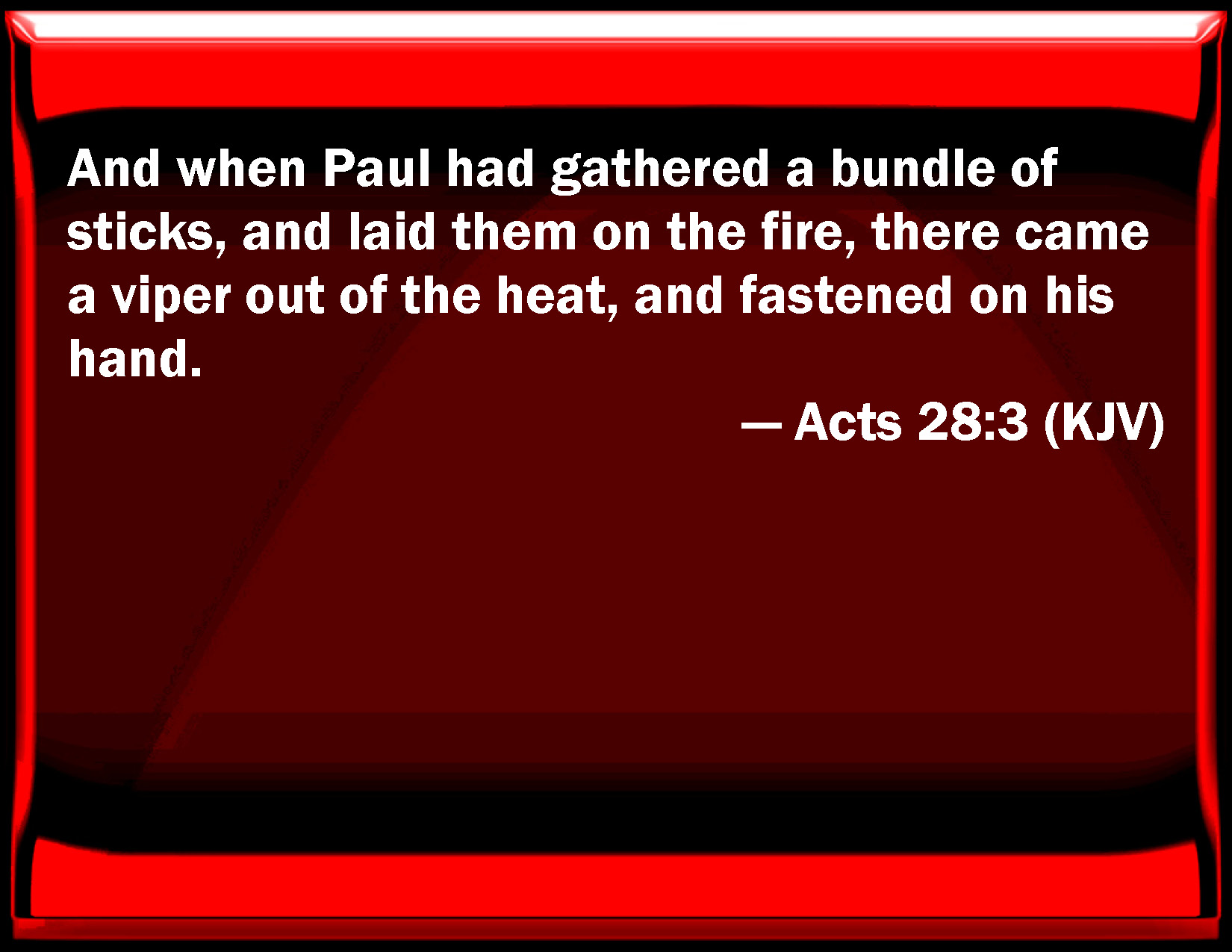 Acts 28:3 And when Paul had gathered a bundle of sticks, and laid them ...
