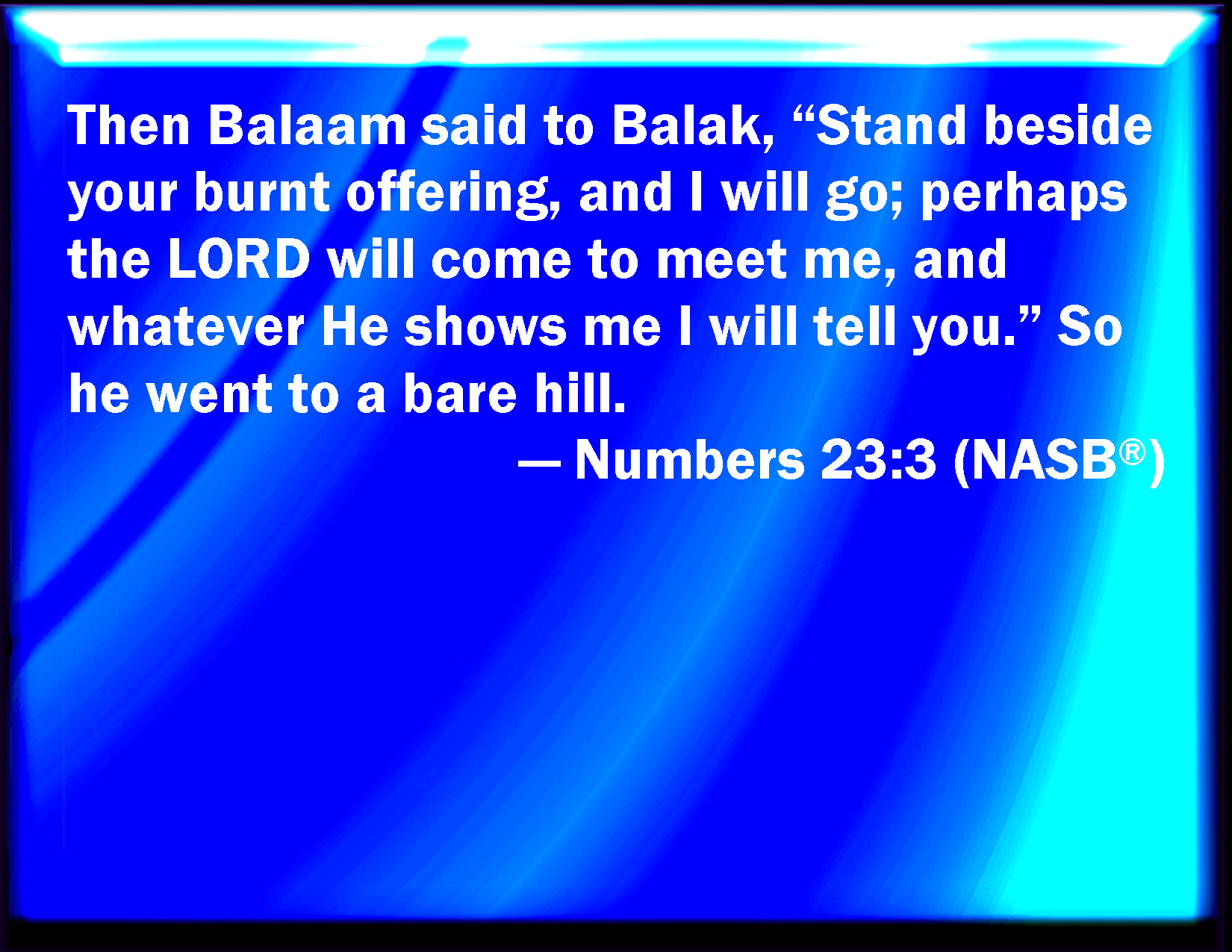 Numbers 23:3 And Balaam said to Balak, Stand by your burnt offering ...